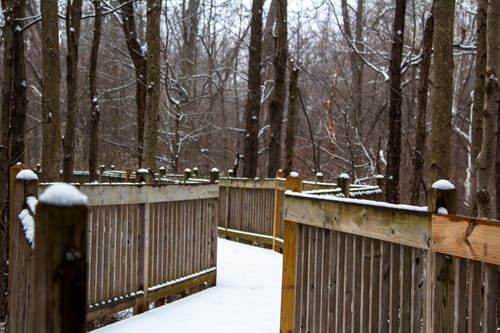 Best Hikes and Trails in Spicer Lake Nature Preserve | AllTrails