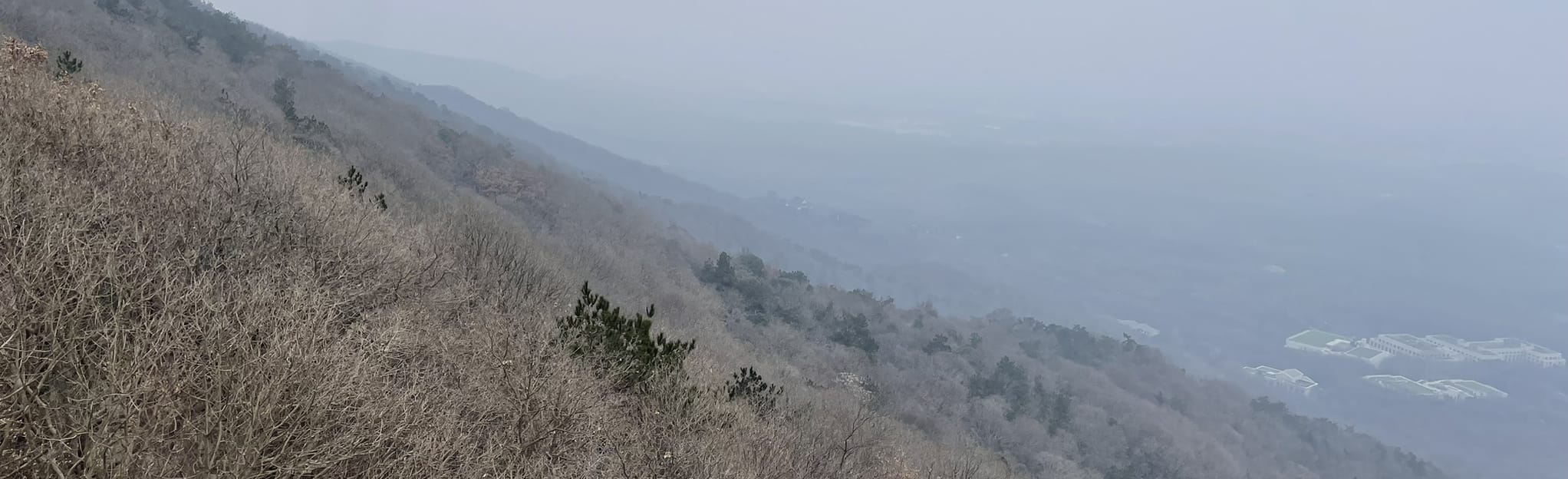 Purple Mountain: 6 Reviews, Map - Jiangsu, China | AllTrails