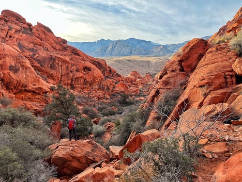 Best 10 Hikes and Trails in Red Rock Canyon National Conservation Area ...