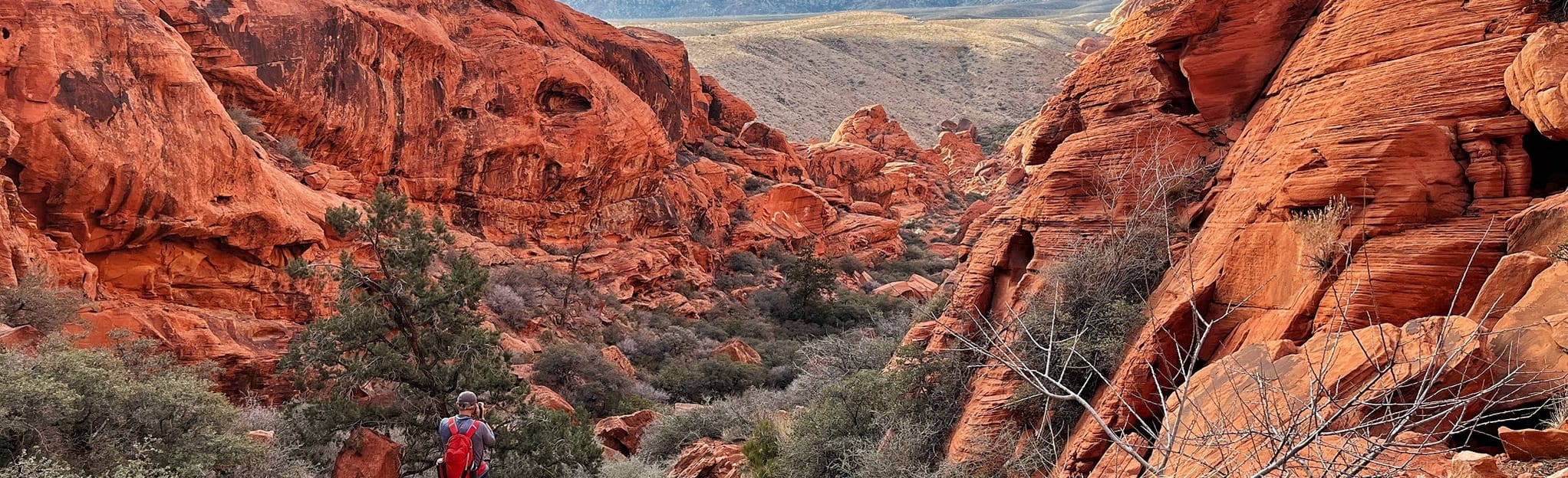 Guardian Angel Pass: 1,513 Reviews, 2,956 Photos, Map - Nevada | AllTrails
