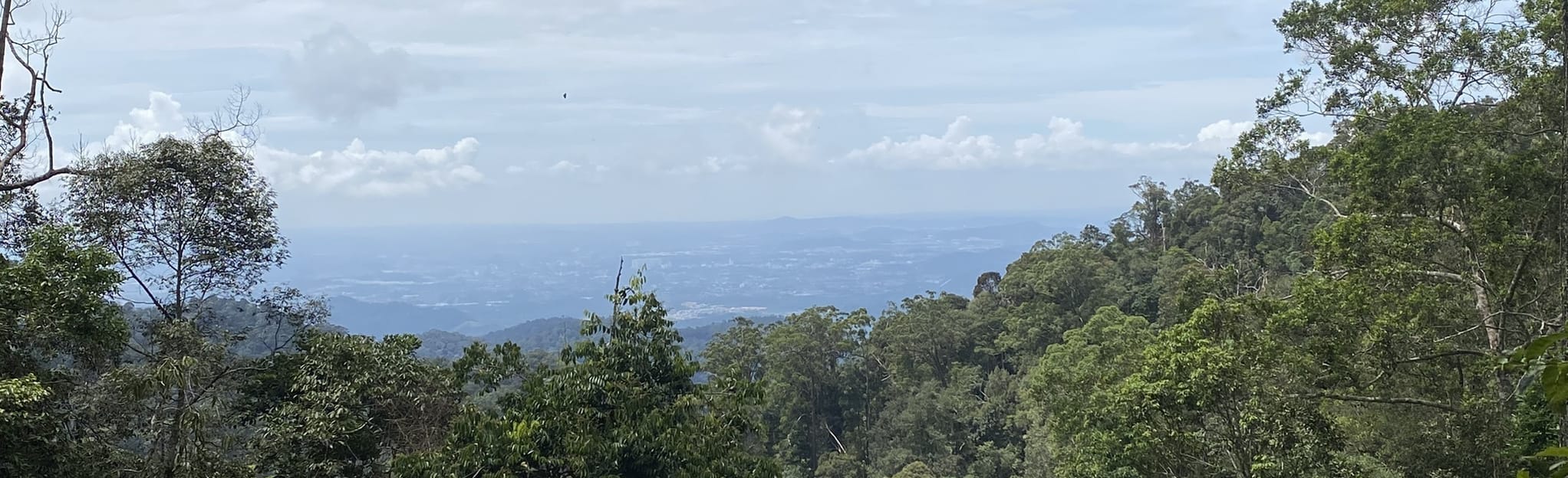 Mount Berembun - Mount Telapak Buruk, Negeri Sembilan, Malaysia - 21 ...