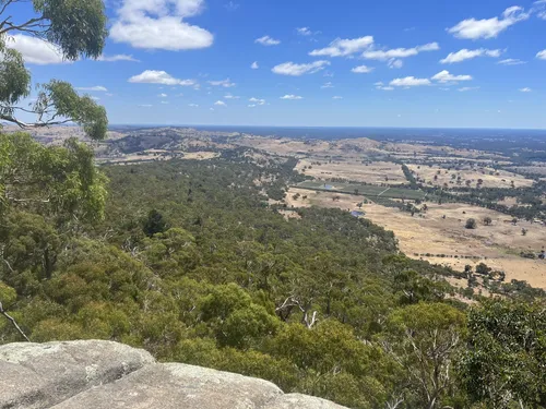 10 Best Forest Trails in Mount Alexander Regional Park | AllTrails