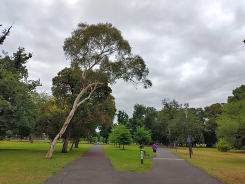 Best Hikes and Trails in Fawkner Park | AllTrails
