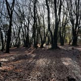 The Hurtwood and Winterfold Hill, Surrey, England - 60 Reviews, Map ...