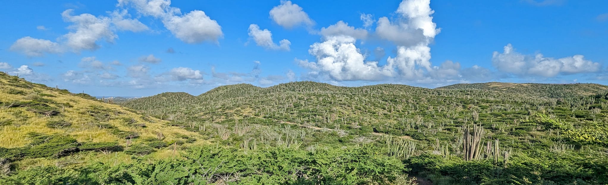 Jamanota South Trail, Aruba, Aruba - 16 Reviews, Map | AllTrails