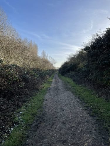 2023 Best Walking Trails in Fen Drayton Nature Reserve | AllTrails