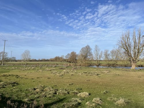 2023 Best Walking Trails in Fen Drayton Nature Reserve | AllTrails