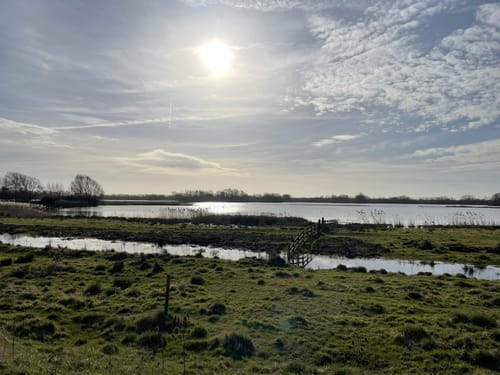 2023 Best Walking Trails in Fen Drayton Nature Reserve | AllTrails