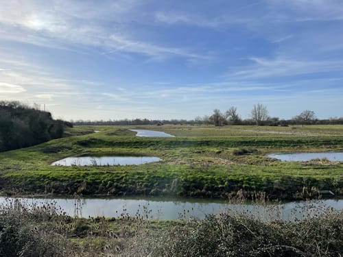 2023 Best Walking Trails in Fen Drayton Nature Reserve | AllTrails