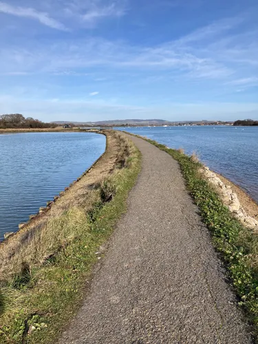 2023 Best 10 Walking Trails in Hampshire | AllTrails