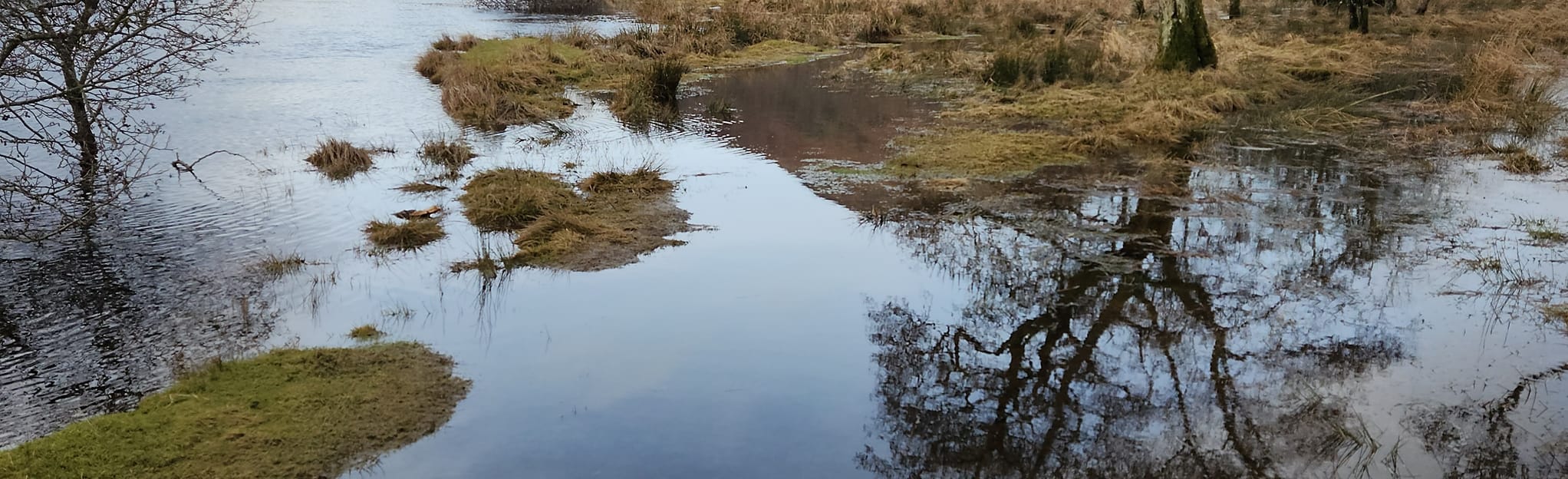 River Lochay and Loch Tay Nature Path: 85 Reviews, Map - Stirling ...