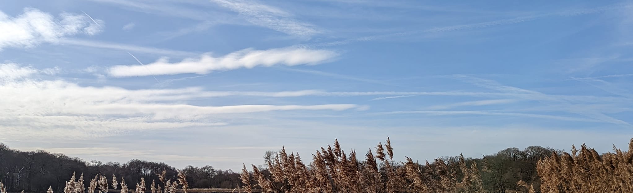 Capital Ring Walk Section 6: Wimbledon Park to Richmond Bridge: 166 ...