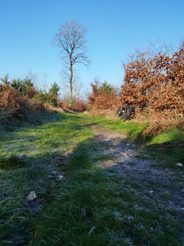 Best Hikes and Trails in Forêt domaniale de Roumare | AllTrails