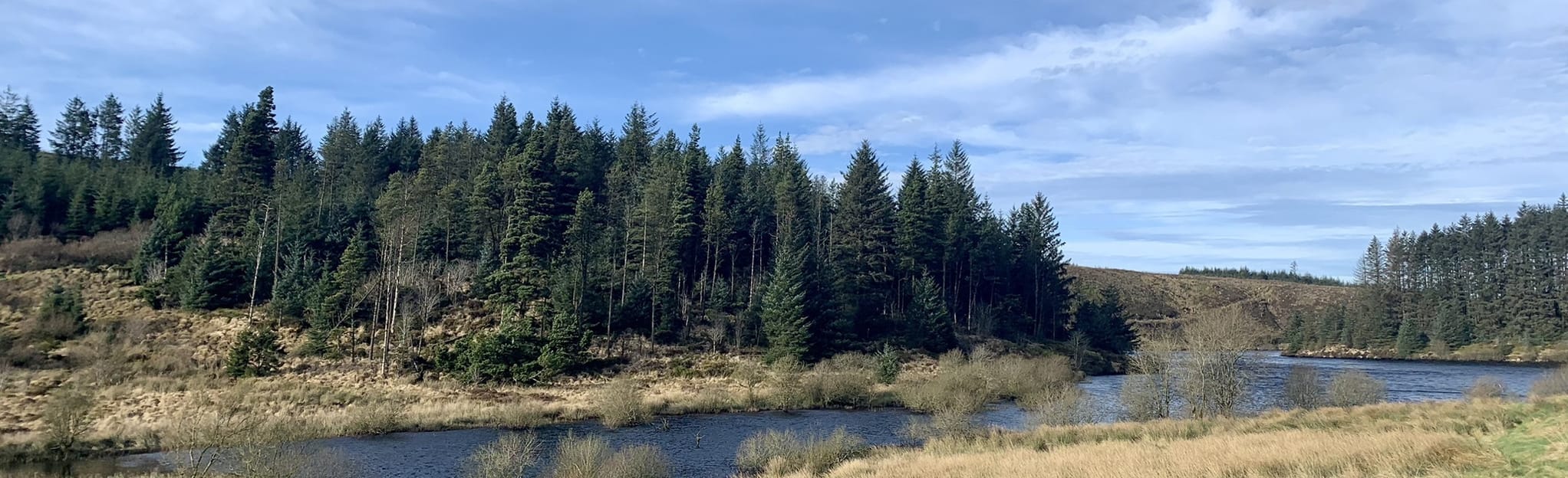 Banagher Forest and Altnaheglish Reservoir Circular: 144 Reviews, Map ...