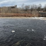 Levee Loop, Pennsylvania - 265 Reviews, Map | AllTrails