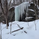 Butler Lodge Trail, Vermont - 465 Reviews, Map | AllTrails