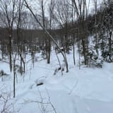 Butler Lodge Trail, Vermont - 465 Reviews, Map | AllTrails