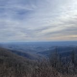 Black Ridge Trail, Virginia - 538 Reviews, Map | AllTrails