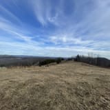 Black Ridge Trail, Virginia - 538 Reviews, Map | AllTrails