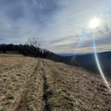 Black Ridge Trail, Virginia - 538 Reviews, Map | AllTrails