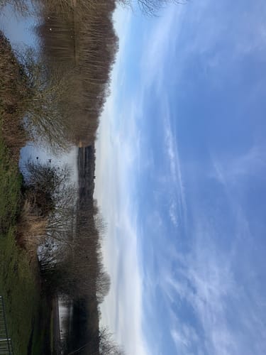 Best Hikes and Trails in Sandwell Valley Country Park | AllTrails