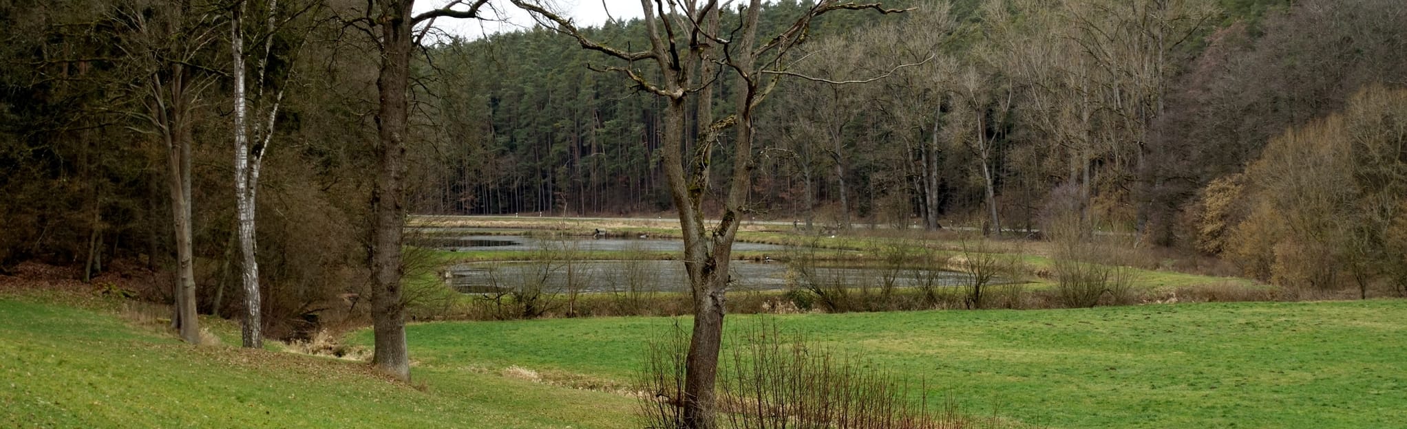 Mühlen an der Aurach: 1 Reviews, Map - Bayern, Germany | AllTrails