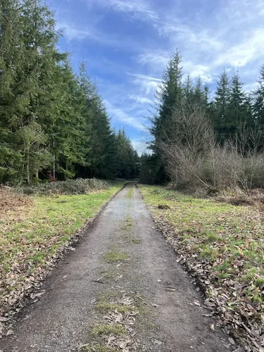 Best Camping Trails in Cranborne Chase and West Wiltshire Downs ...