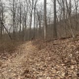 Hogback Mountain via Charcoal Trail, Pennsylvania - 37 Reviews, Map ...