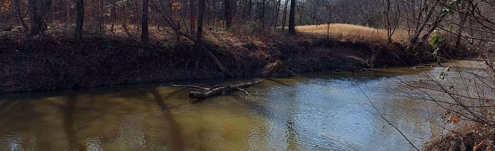 Mountain to Sea Trail: Penny's Bend to West Point: 159 Reviews, Map ...