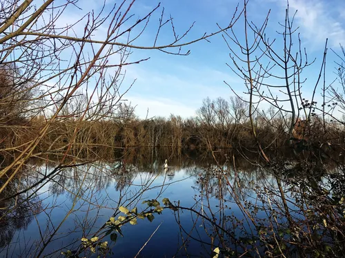 Best Hikes and Trails in Lower Moor Farm Nature Reserve | AllTrails