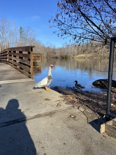 Best Hikes and Trails in Village Point Lake | AllTrails