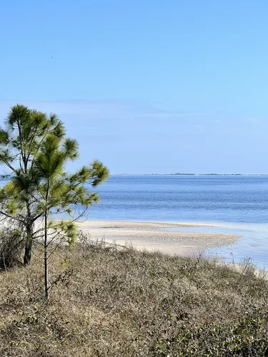 10 Best Trails and Hikes in Gulf Breeze | AllTrails