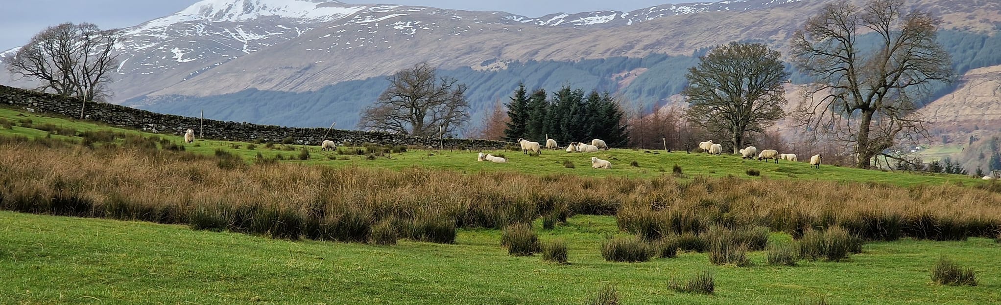 Falls of Acharn Circular, Perth and Kinross, Scotland - 16 Reviews, Map ...