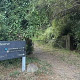 Newton’s Waterfall from Akaroa, Canterbury, New Zealand - 128 Reviews ...
