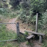 Newton’s Waterfall from Akaroa, Canterbury, New Zealand - 128 Reviews ...