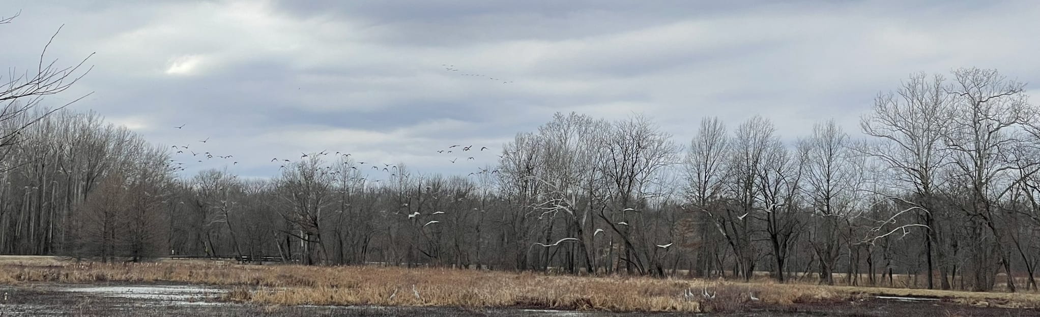 Turkey and Bird Trail, Indiana - 158 Reviews, Map | AllTrails