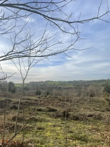 Best Hikes and Trails in Kingsford Forest Park | AllTrails