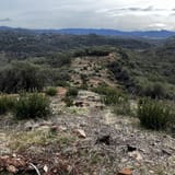 Dragoon Gulch Trail, California - 840 Reviews, Map | AllTrails