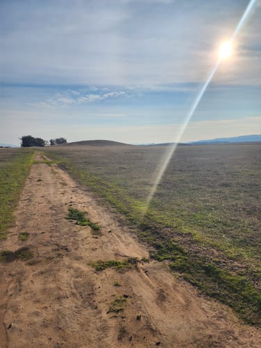 Best Hikes and Trails in Rush Ranch Open Space | AllTrails