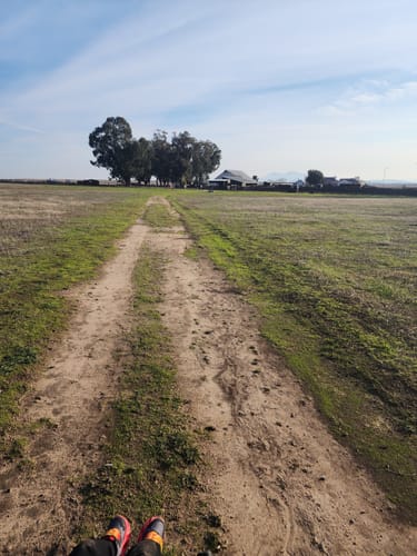 Best Hikes and Trails in Rush Ranch Open Space | AllTrails