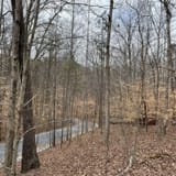 Webb Bridge Park Trail, Georgia - 768 Reviews, Map | AllTrails