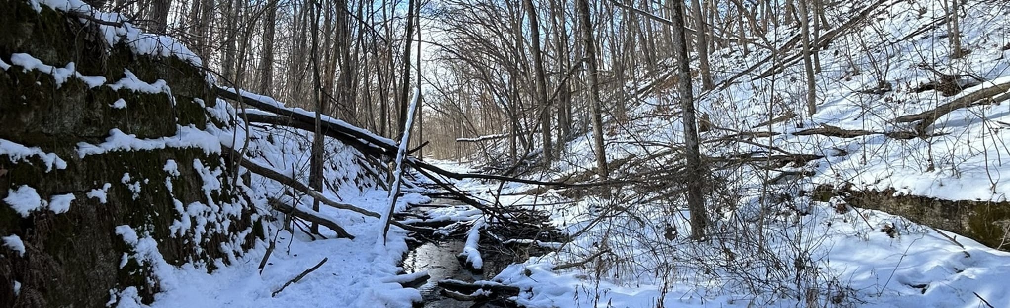 Winston Tunnel Trail, Illinois - 110 Reviews, Map | AllTrails