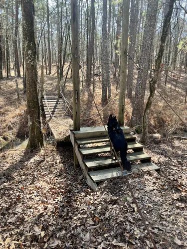 Best Hikes and Trails in Arlie Moore Recreation Area | AllTrails