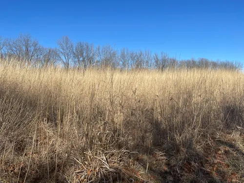 Best Hikes and Trails in William R Logan Conservation Area | AllTrails