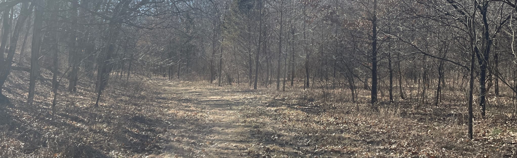 William Logan Conservation Area Trail, Missouri - 9 Reviews, Map ...