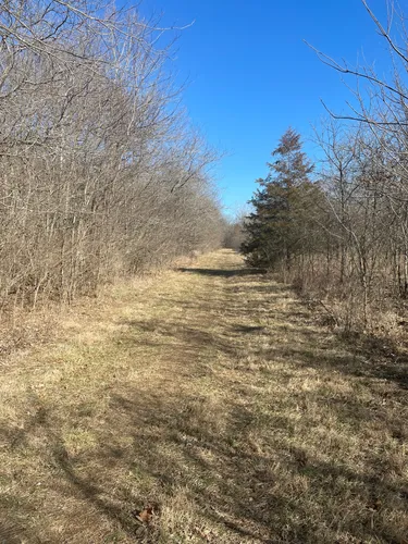 Best Hikes and Trails in William R Logan Conservation Area | AllTrails