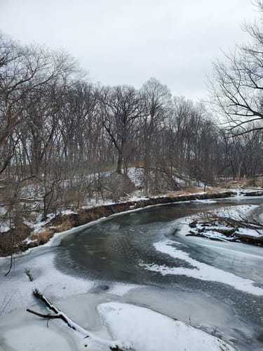 Best Hikes and Trails in Big Rock Forest Preserve | AllTrails