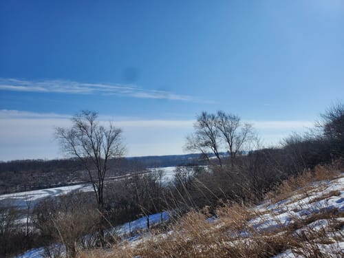 Best Hikes and Trails in Big Rock Forest Preserve | AllTrails