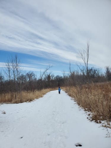 Best Hikes and Trails in Big Rock Forest Preserve | AllTrails