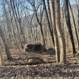Upper Guild Trail, Tennessee - 481 Reviews, Map | AllTrails